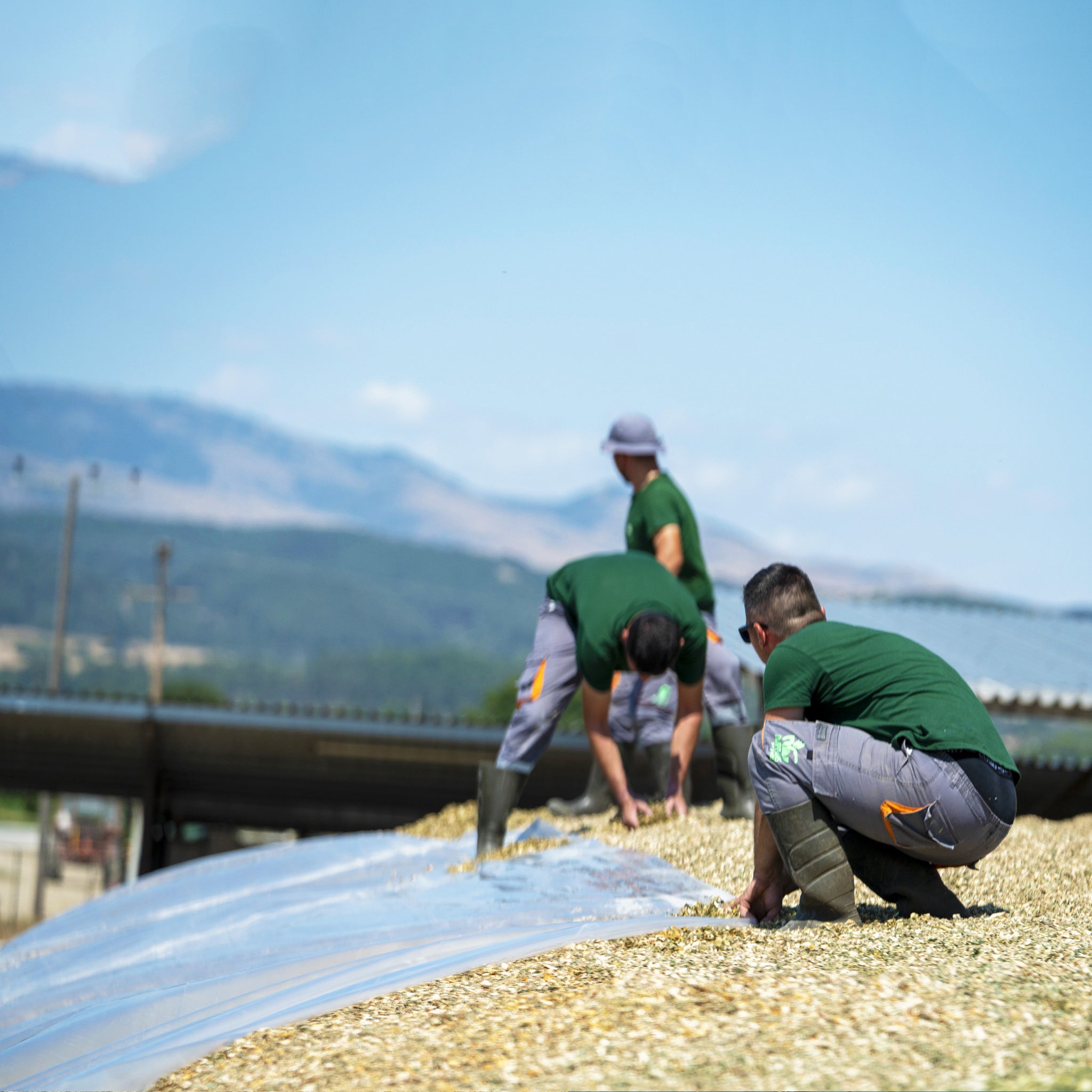 Agricultural Covers – HITEC