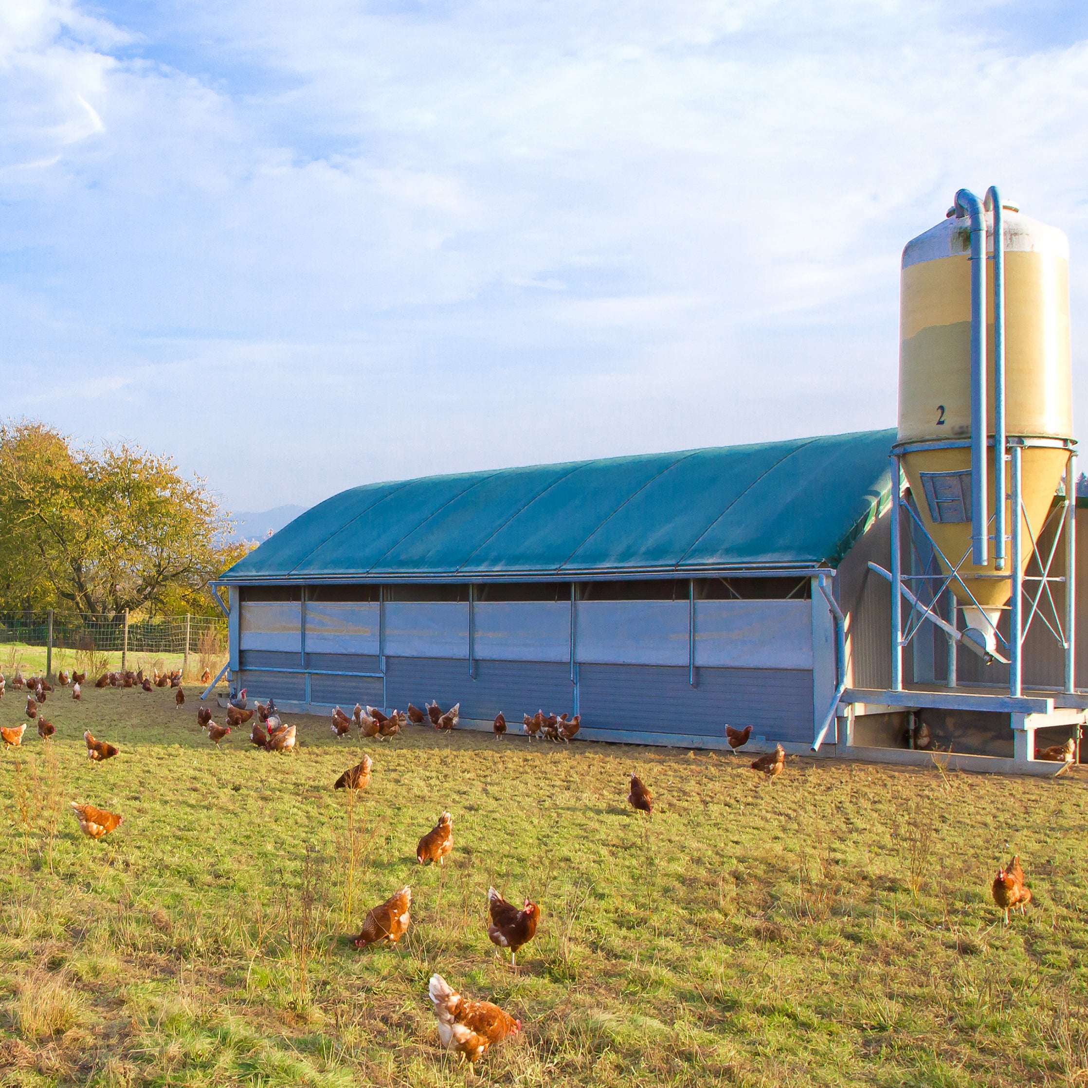Livestock & Warehouse Buildings – HITEC